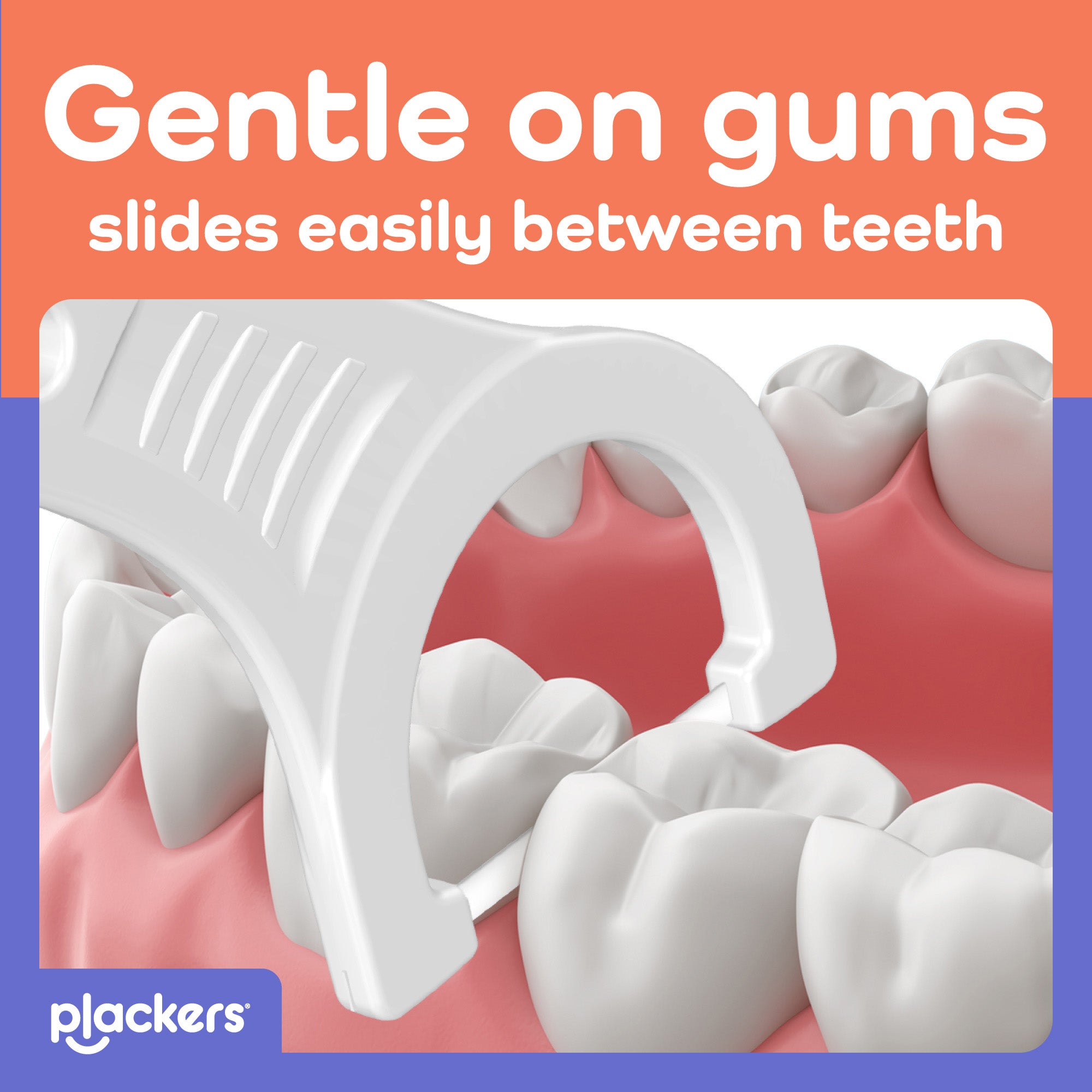 Products – Plackers